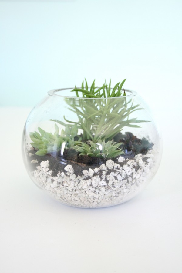 A Mini Terrarium - Dream Green DIY