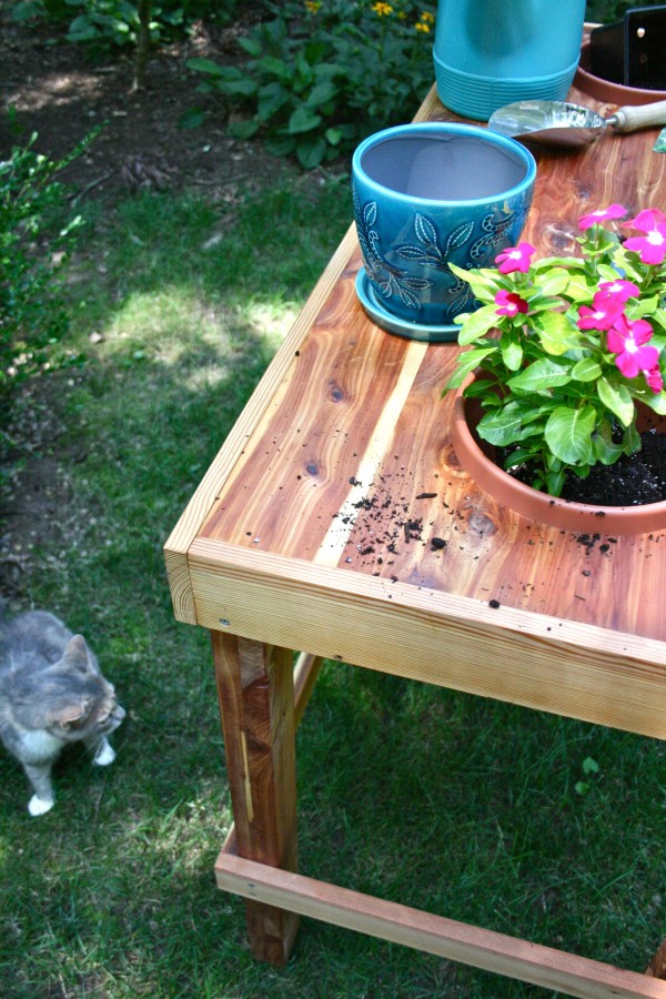 Dual Purpose Party+Potting Table {with 3M} - Dream Green DIY