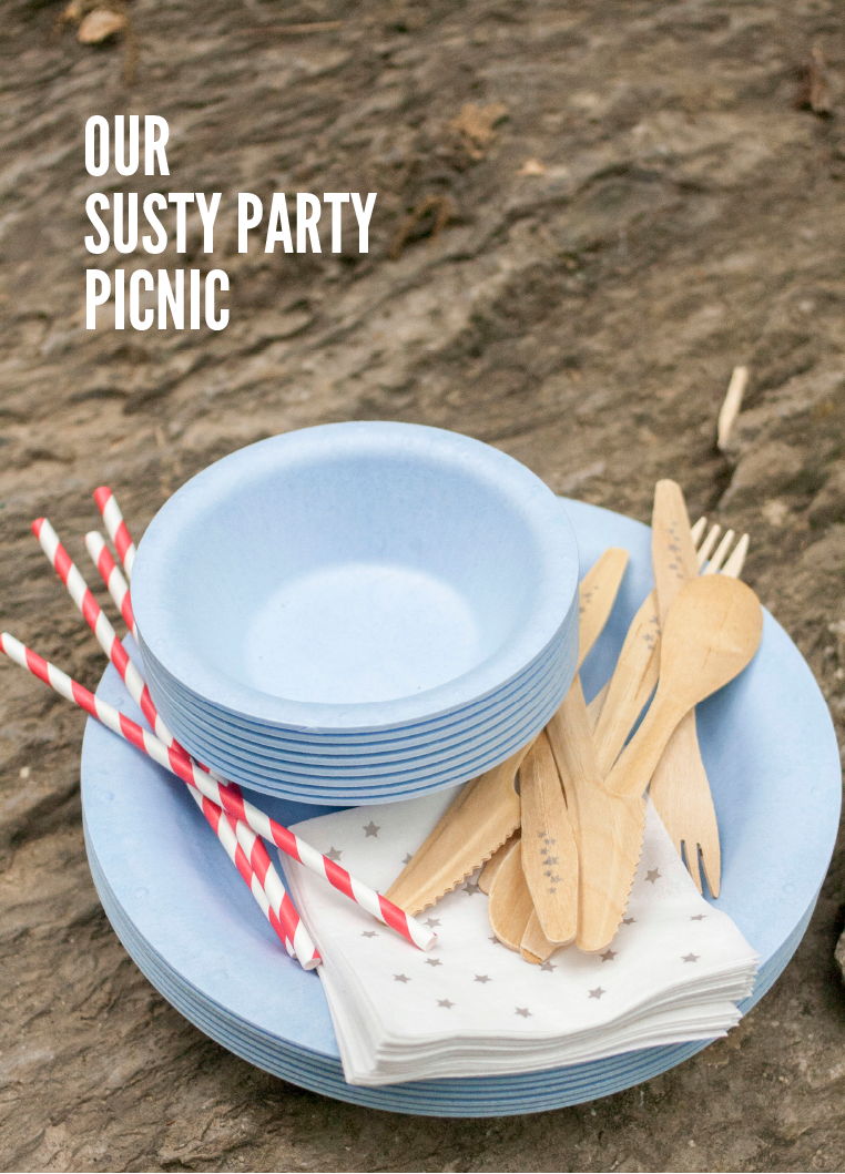 Our Susty Party Picnic - Dream Green DIY