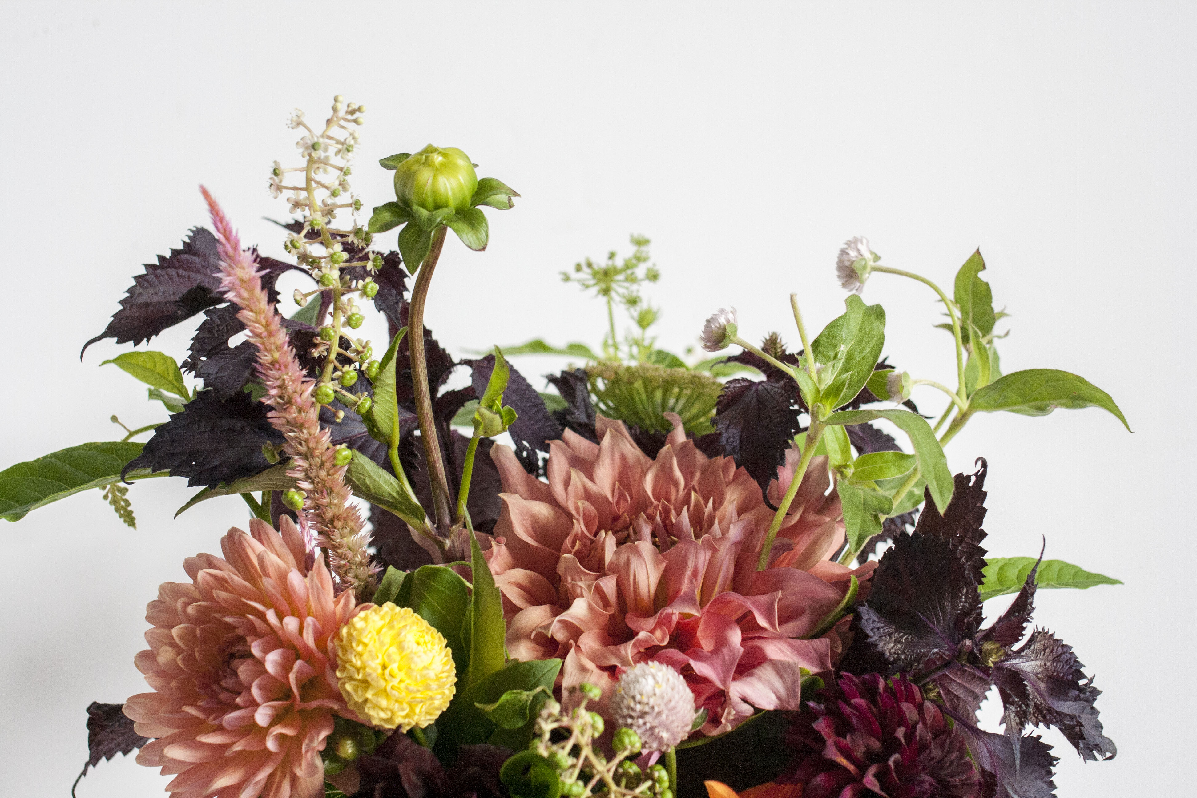 DIY Foraged Floral Arranging - Dream Green DIY