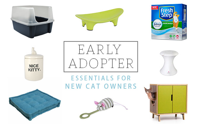 Everything You Need For Your New Feline Friend - Dream Green DIY Everything You Need For Your New Feline Friend - Dream Green DIY