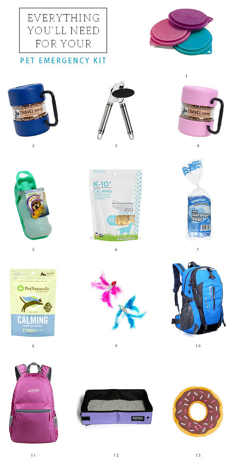 How To Put Together A Pet Emergency Supply Kit - Dream Green DIY