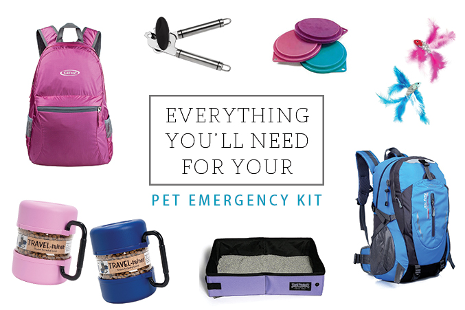 How To Put Together A Pet Emergency Supply Kit - Dream Green DIY