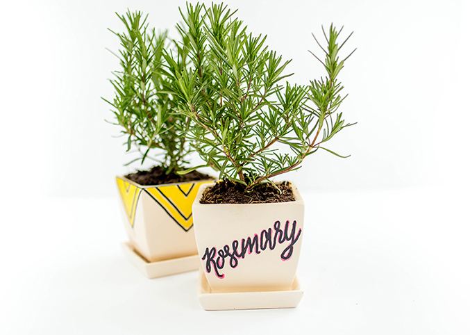 One Flowerpot Painted 2 Ways - Dream Green DIY