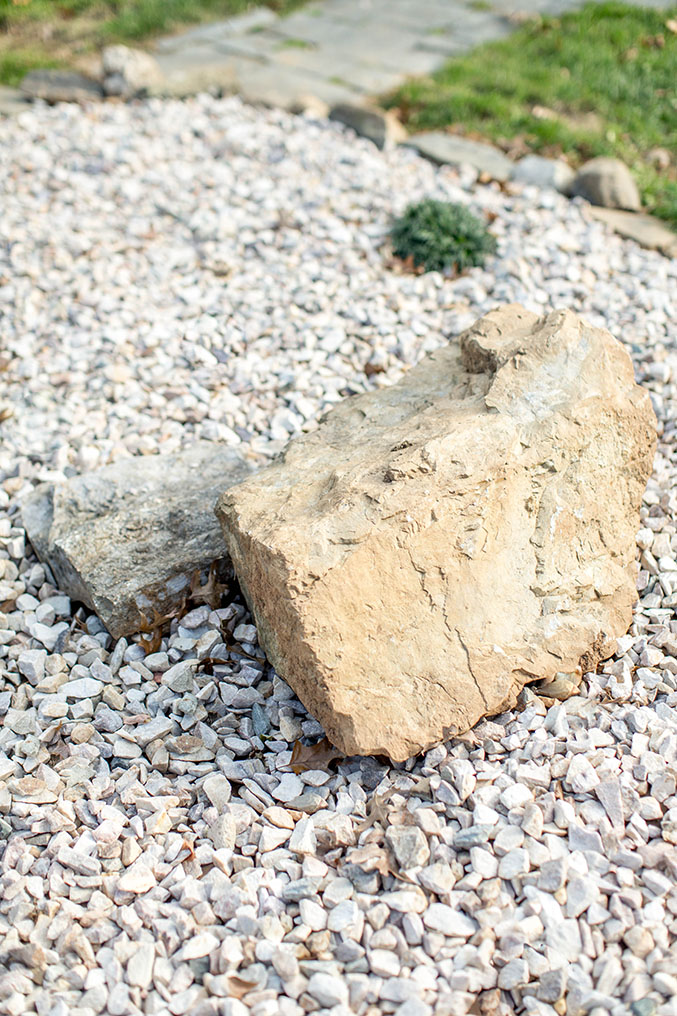 How To Create A DIY Zen-Inspired Rock Garden - Dream Green DIY