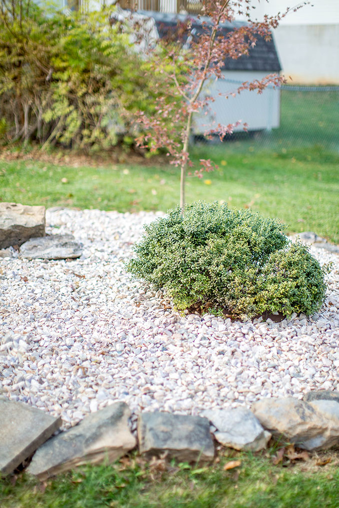 How To Create A DIY Zen-Inspired Rock Garden - Dream Green DIY