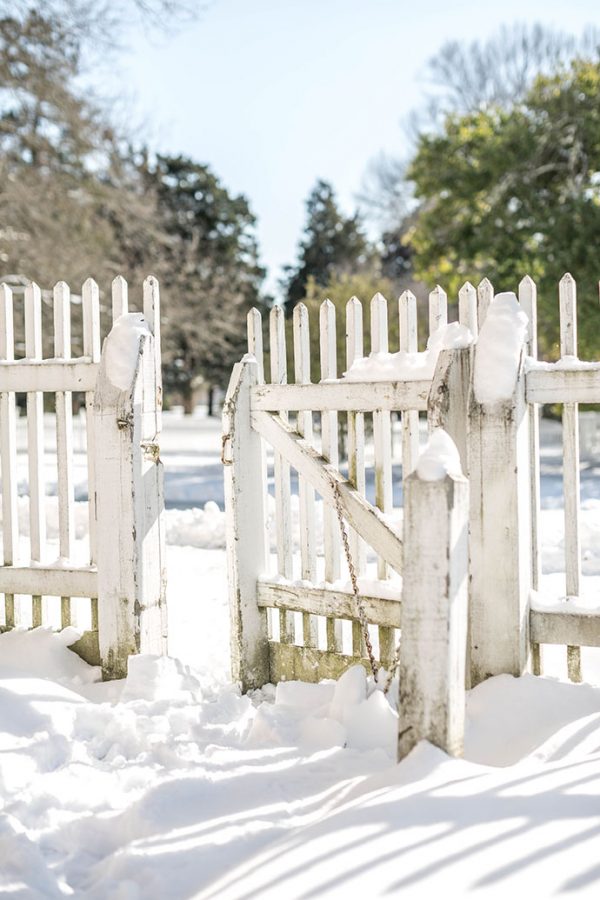 A Winter Walk Through Colonial Williamsburg - Dream Green DIY