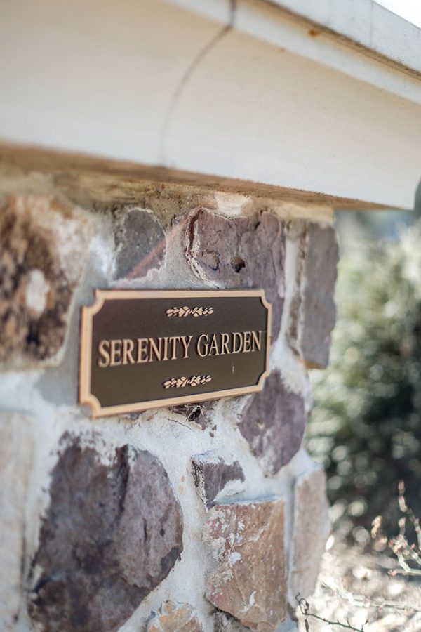 A Mid-Week Walk Through The Serenity Garden - Dream Green DIY
