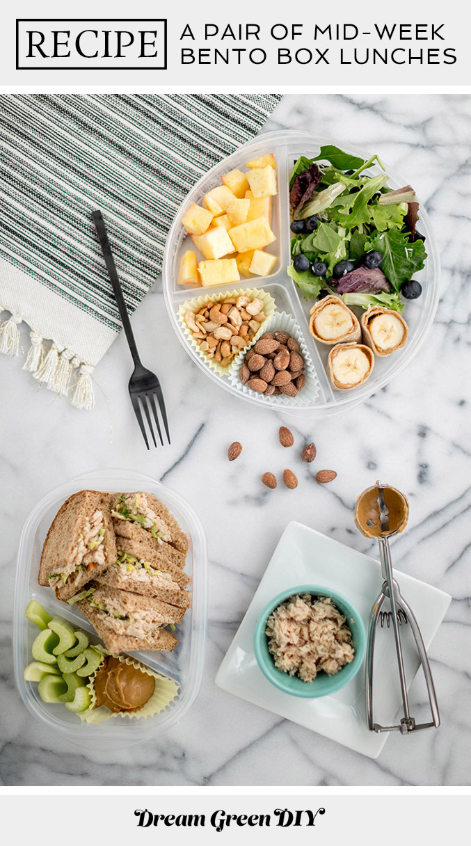 Two Versions Of A Mid-Week Bento Box Lunch - Dream Green DIY
