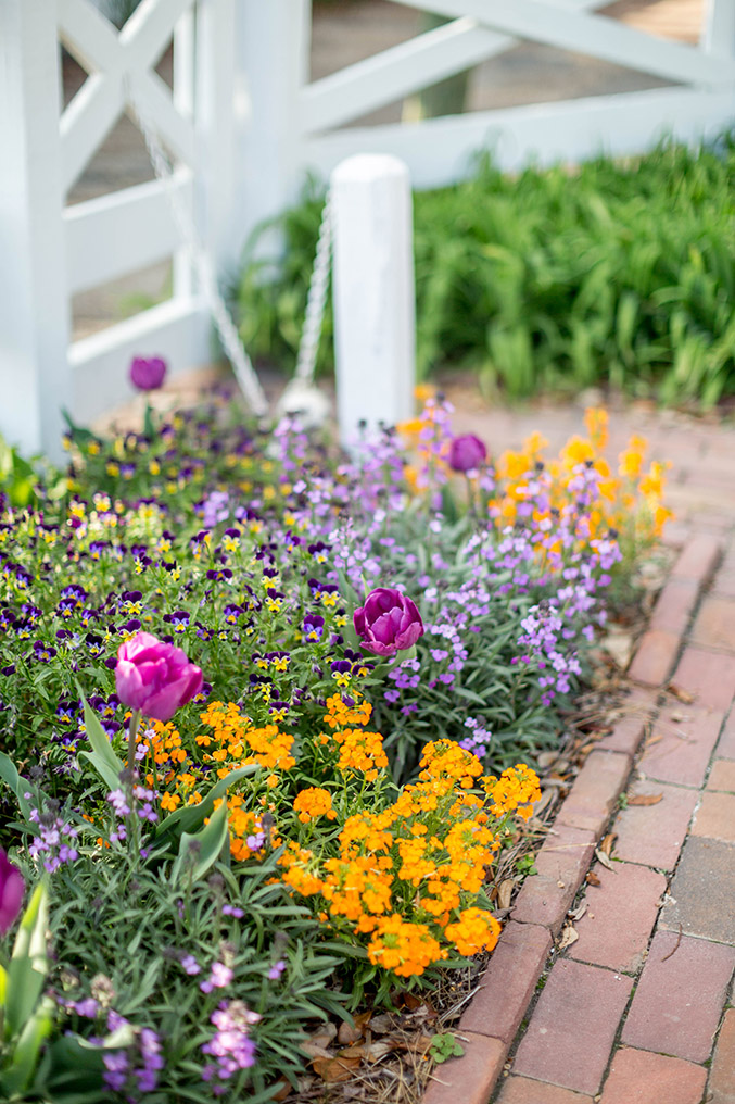 Celebrating Springtime In Colonial Williamsburg - Dream Green DIY