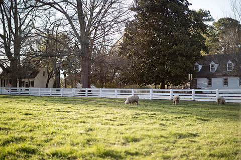 Celebrating Springtime In Colonial Williamsburg - Dream Green DIY