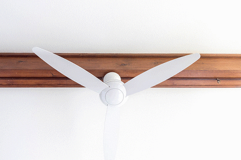 Which Direction To Set Your Fan For Summer - Dream Green DIY