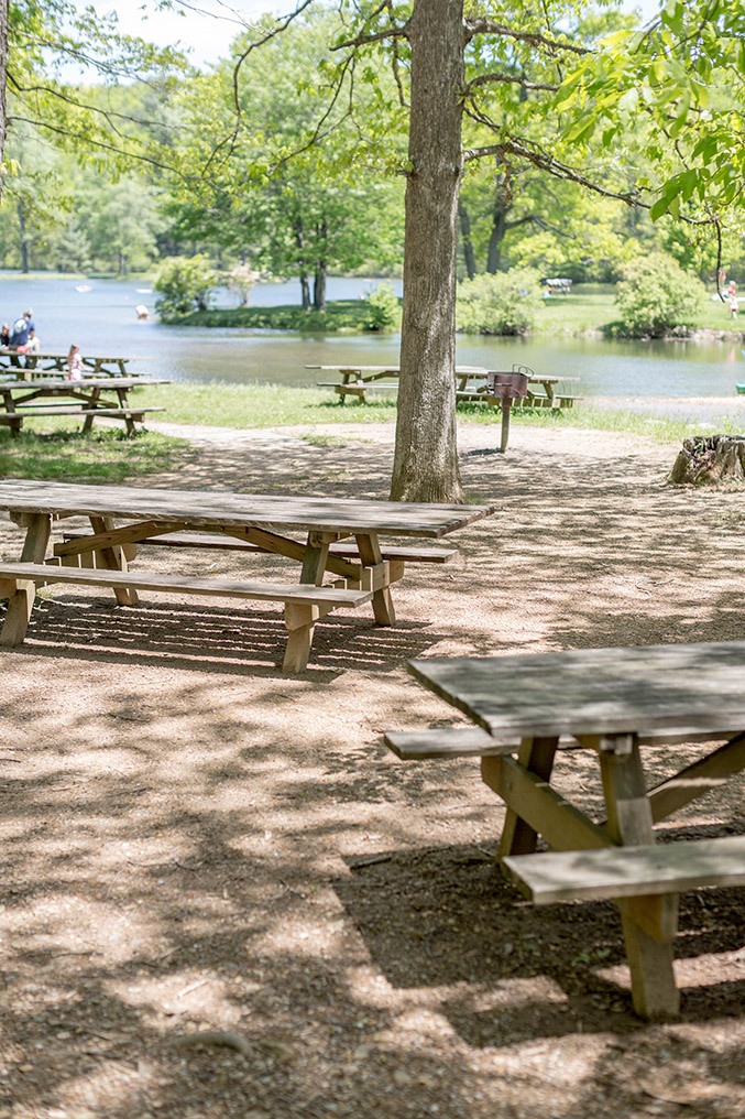 A Spontaneous Day Trip To Sherando Lake - Dream Green DIY