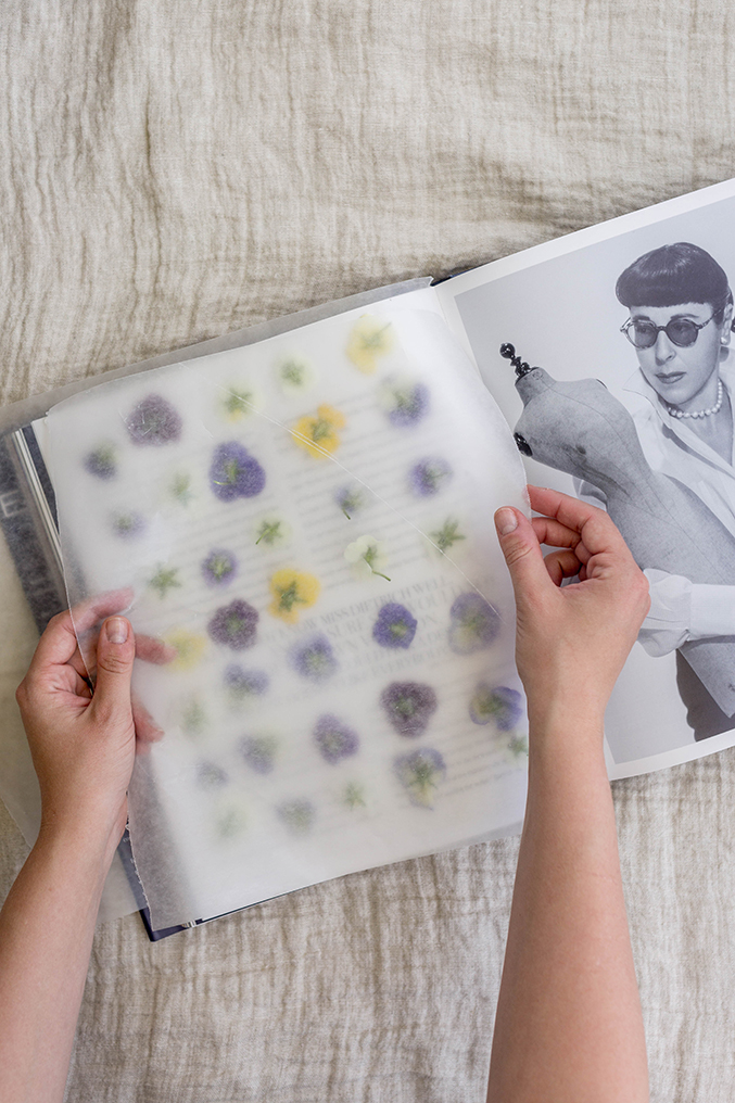 DIY Pressed Flowers Art Print - Dream Green DIY