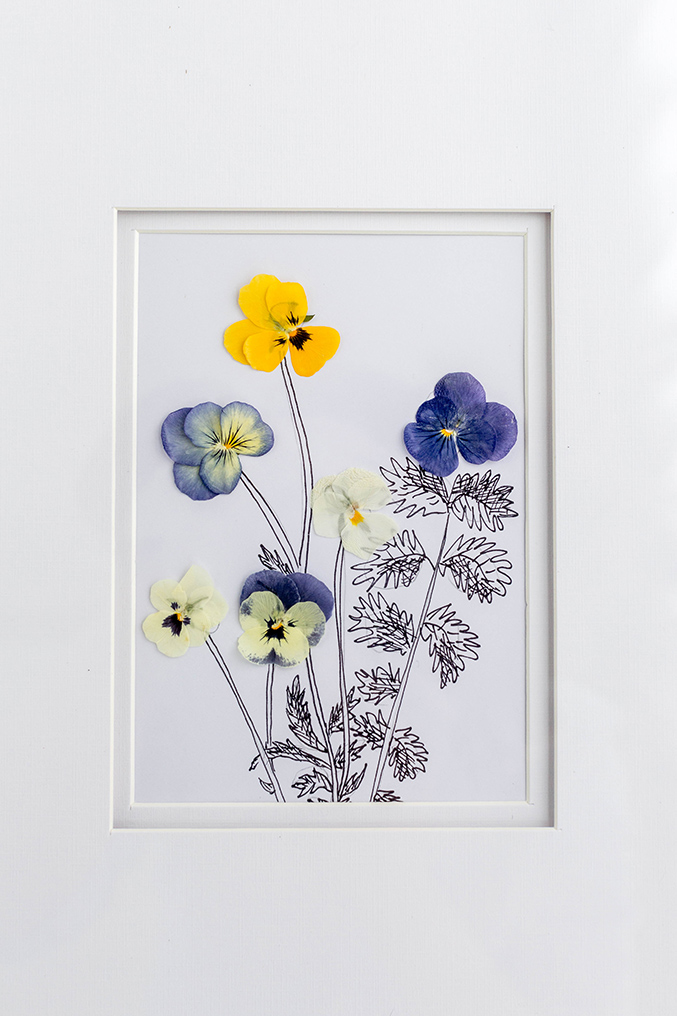DIY Pressed Flowers Art Print - Dream Green DIY