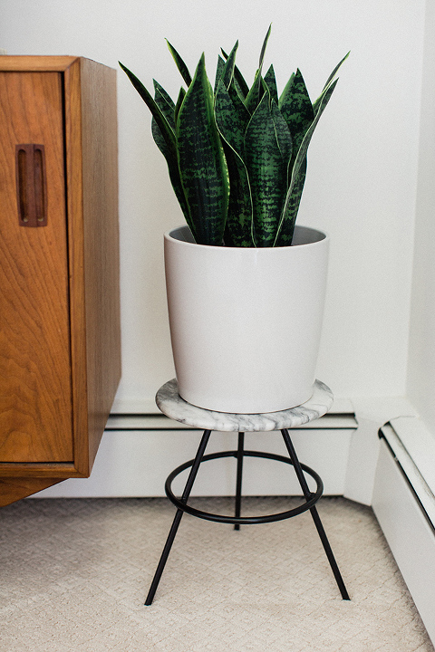 How To Turn A Vintage Stool Into A Plant Stand - Dream Green DIY
