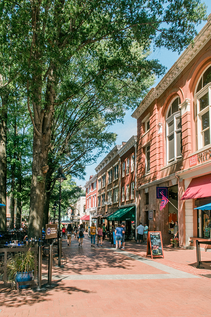 Our Favorite Spots In Charlottesville, VA - Dream Green DIY