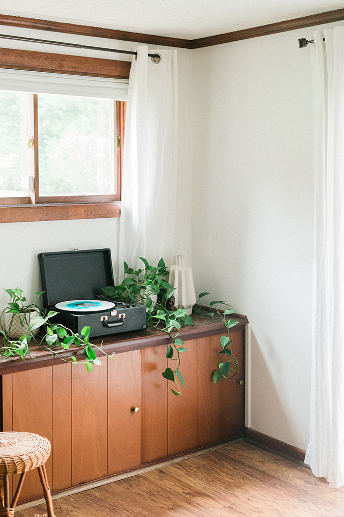 DIY Vinyl Records Shelf Display - Dream Green DIY