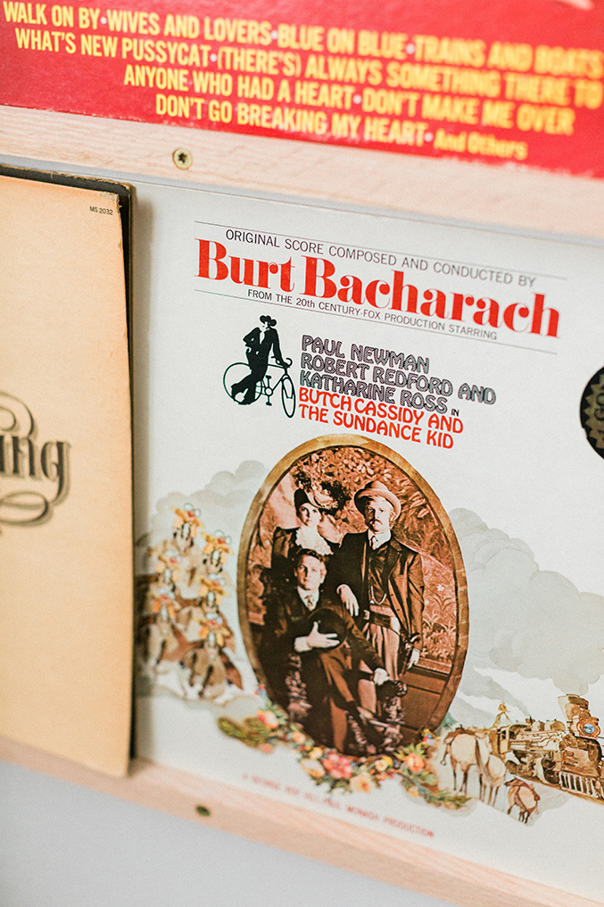 DIY Vinyl Records Shelf Display - Dream Green DIY