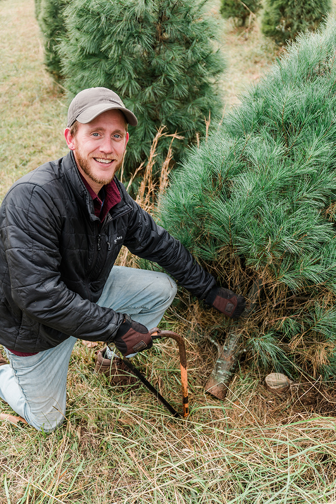 Our Day At The Christmas Tree Farm - Dream Green DIY