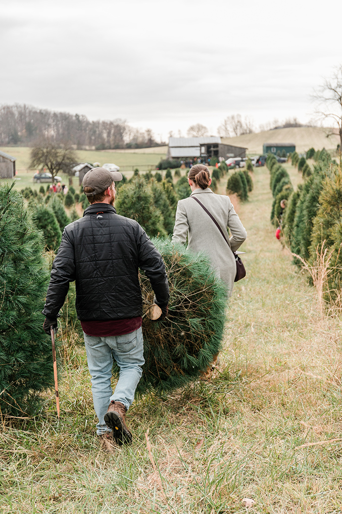 Our Day At The Christmas Tree Farm - Dream Green DIY