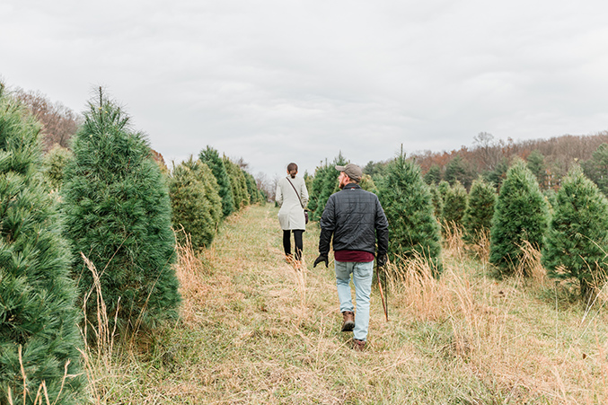 Our Day At The Christmas Tree Farm - Dream Green DIY