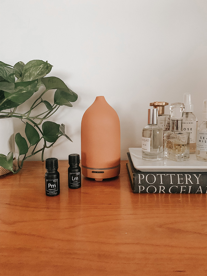 My Favorite Winter Diffuser Blends - Dream Green DIY