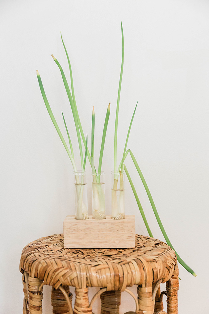 DIY Wood and Glass Propagation Station - Dream Green DIY