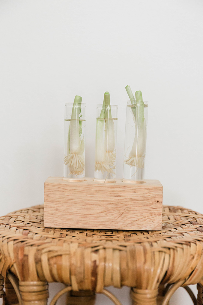 DIY Wood and Glass Propagation Station - Dream Green DIY