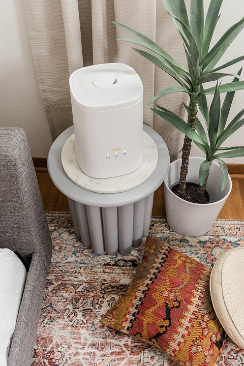 5 Reasons To Use A Home Humidifier - Dream Green DIY