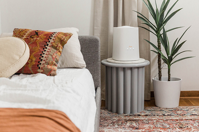 5 Reasons To Use A Home Humidifier - Dream Green DIY