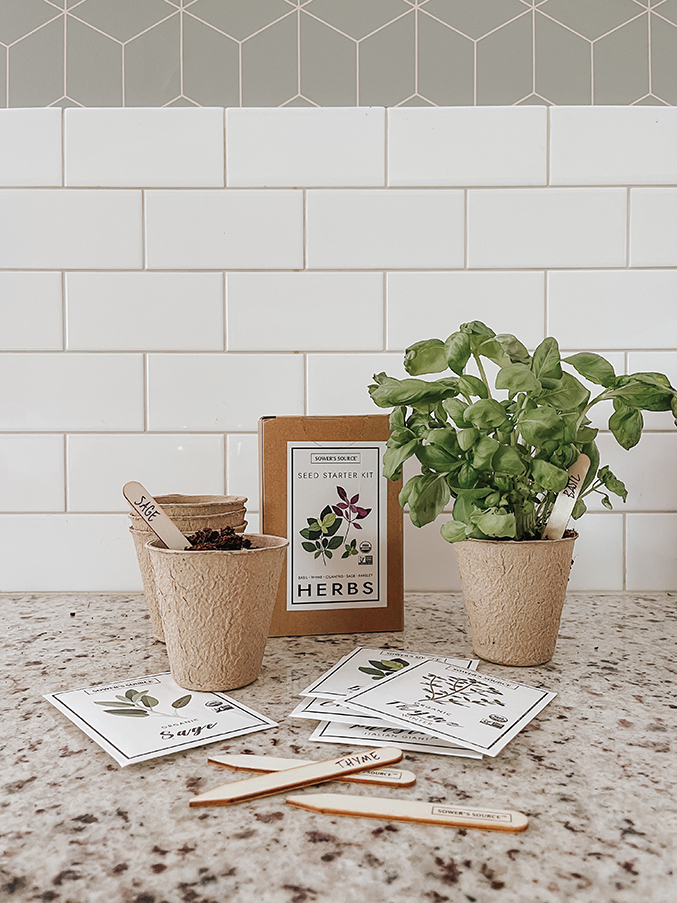 4 Tips For A Spring Home Refresh - Dream Green DIY