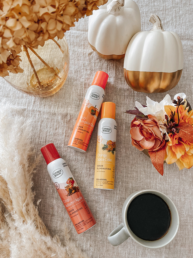 My Seasonal Fall Home Refresh Checklist - Dream Green DIY