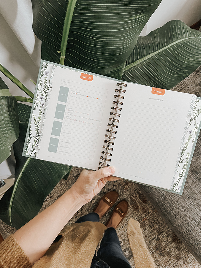 My Seasonal Fall Home Refresh Checklist - Dream Green DIY