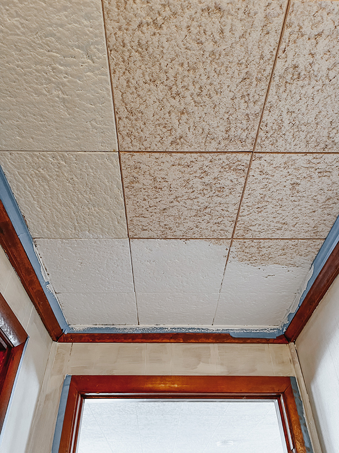 Turn A Dated Hall Into A Stylish Haven - Dream Green DIY