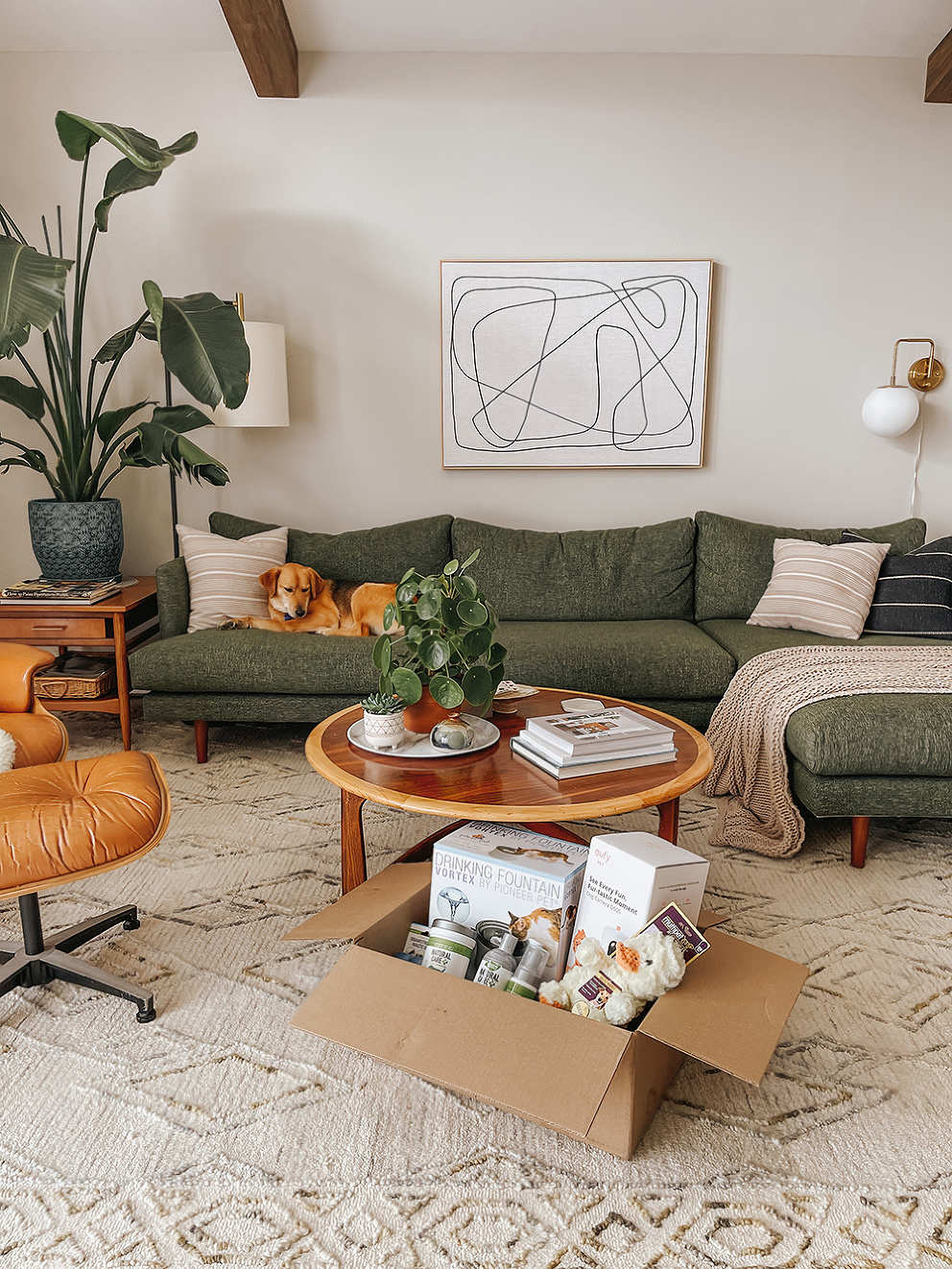 Top Pet Picks For Our New Rescue Pup - Dream Green DIY