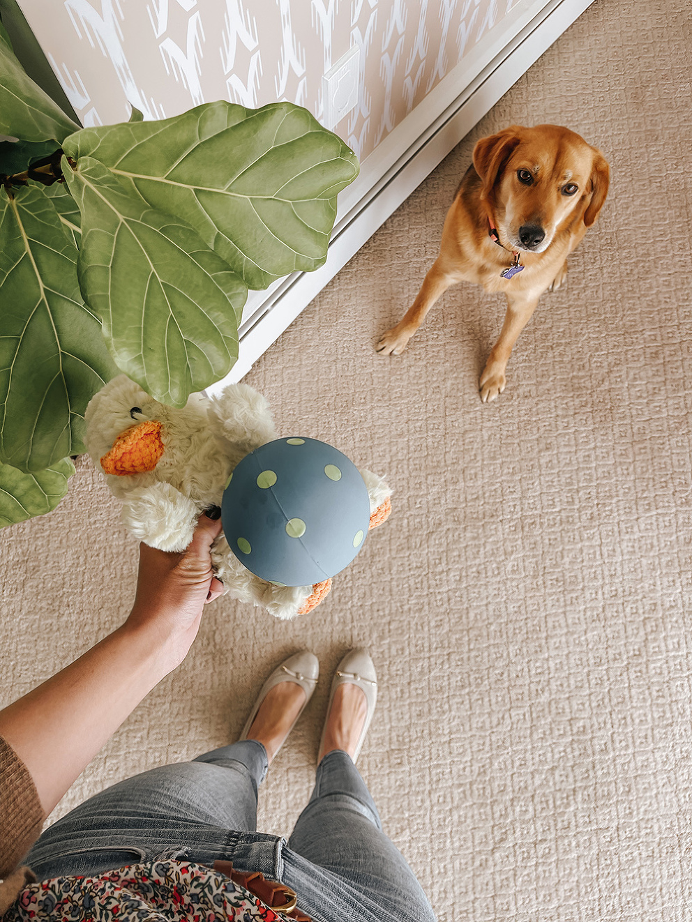 Top Pet Picks For Our New Rescue Pup - Dream Green DIY
