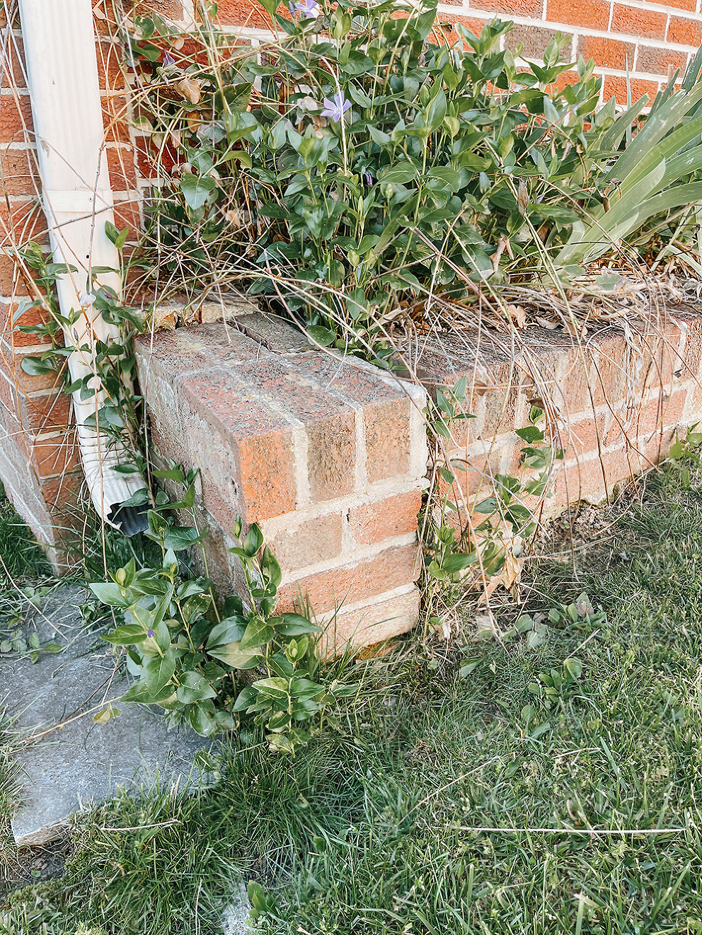DIY Brick Repair And A Minimalist Garden - Dream Green DIY