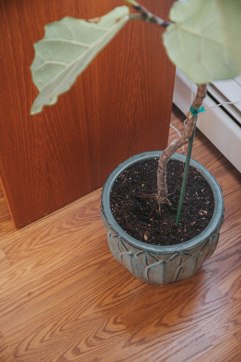 Our New Home's Resilient Flooring Details - Dream Green DIY