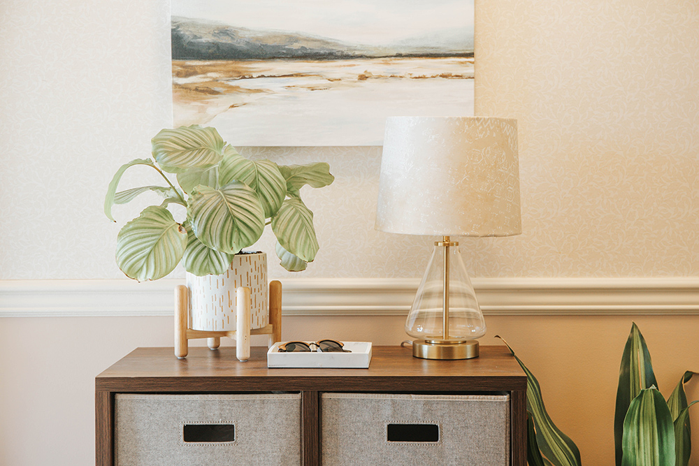 Renter-Friendly Hallway Makeover Hacks - Dream Green DIY