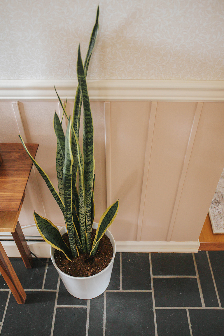 Add Architectural Wall Interest Using Trim - Dream Green DIY