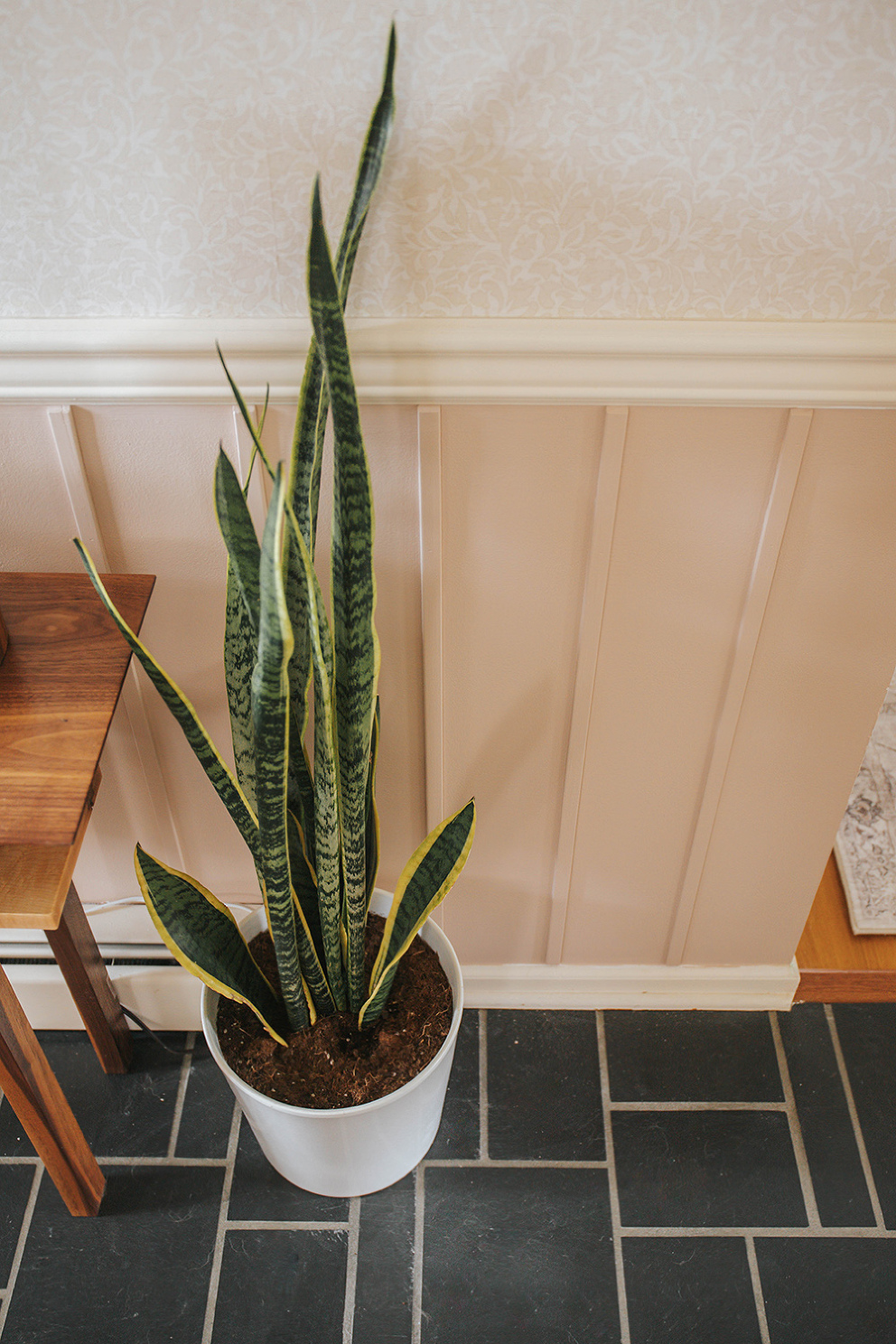 Add Architectural Wall Interest Using Trim - Dream Green DIY