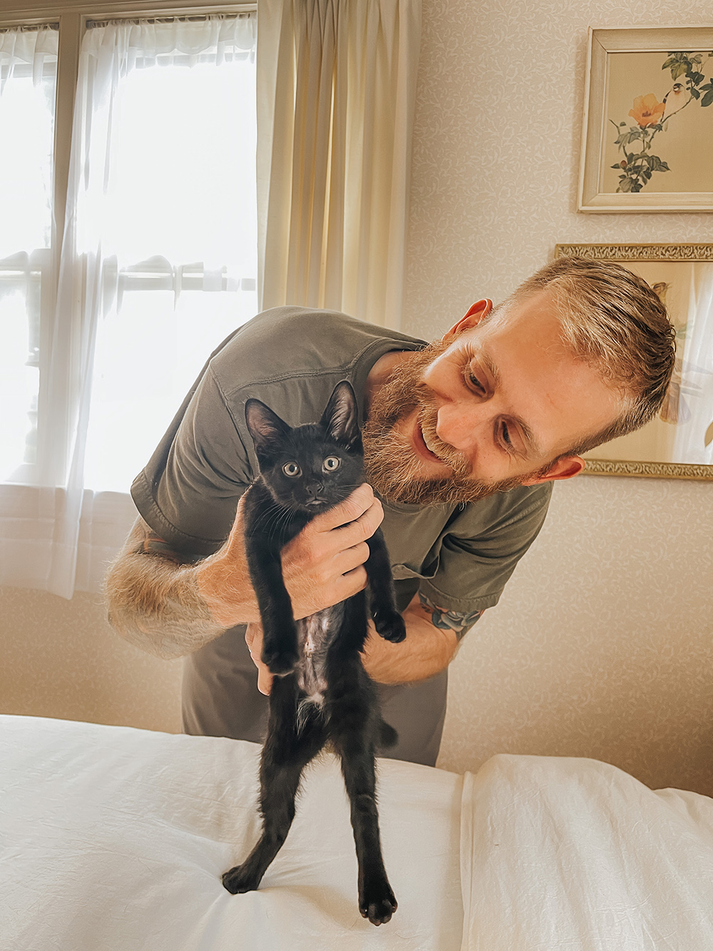 Introducing Our New Rescue Kitten Marlo - Dream Green DIY