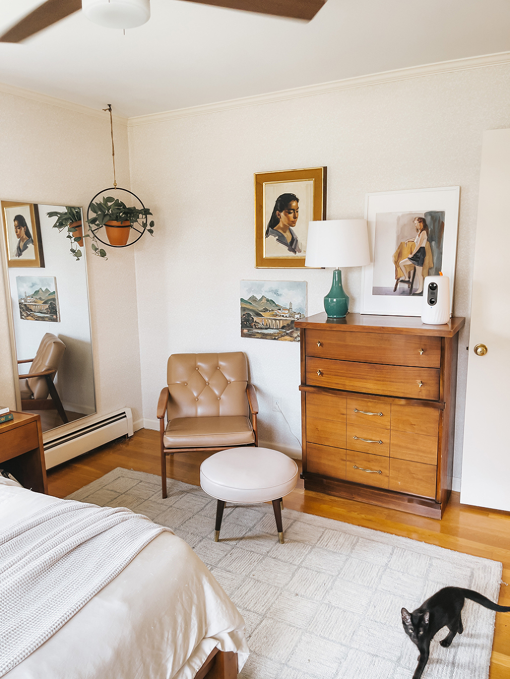 How To Kitten-Proof Your Home - Dream Green DIY