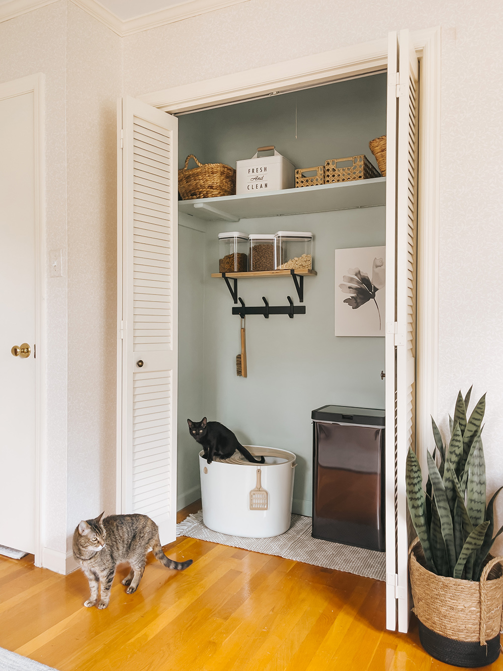 From Unused Closet To Cat Litter Cubby - Dream Green DIY