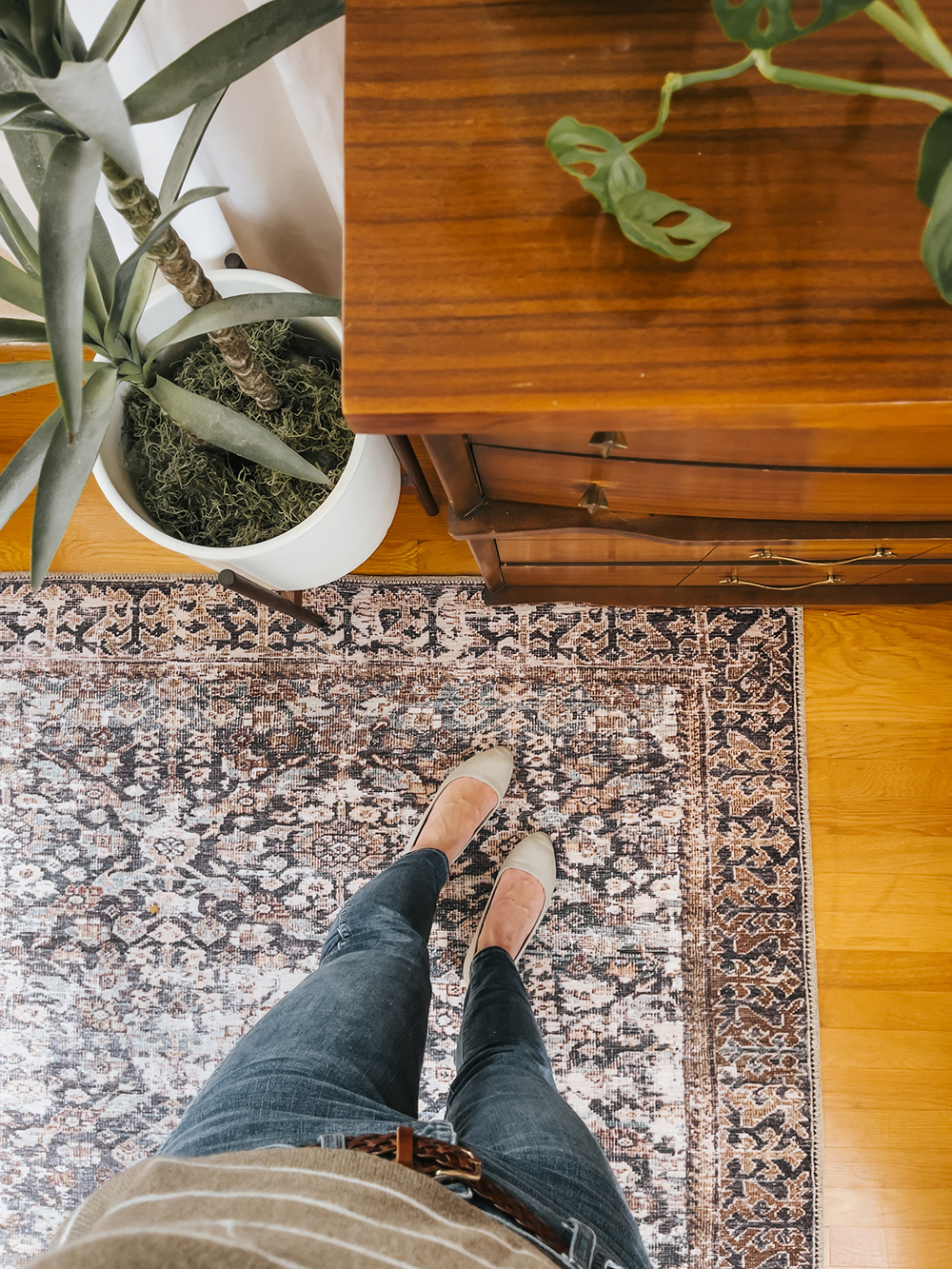 Loloi x Amber Lewis Area Rug Preview - Dream Green DIY