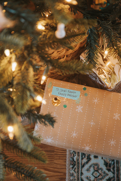 "Draw Names" Christmas Gift Exchange - Dream Green DIY