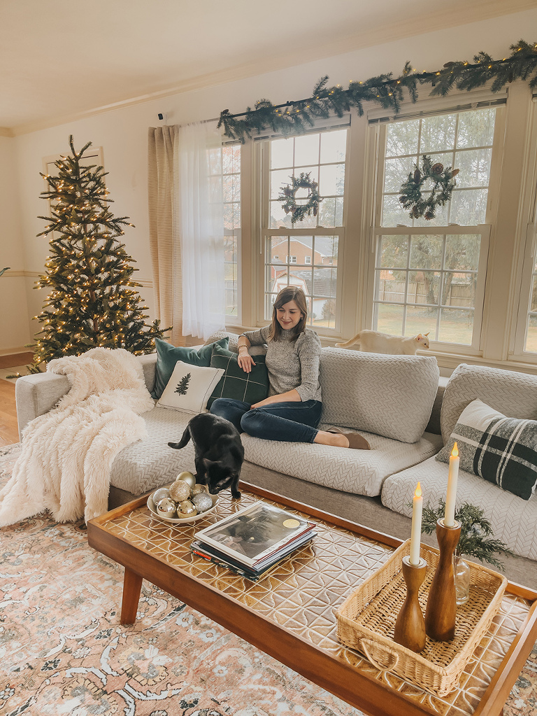 My Pet-Friendly Christmas Décor Tips - Dream Green DIY