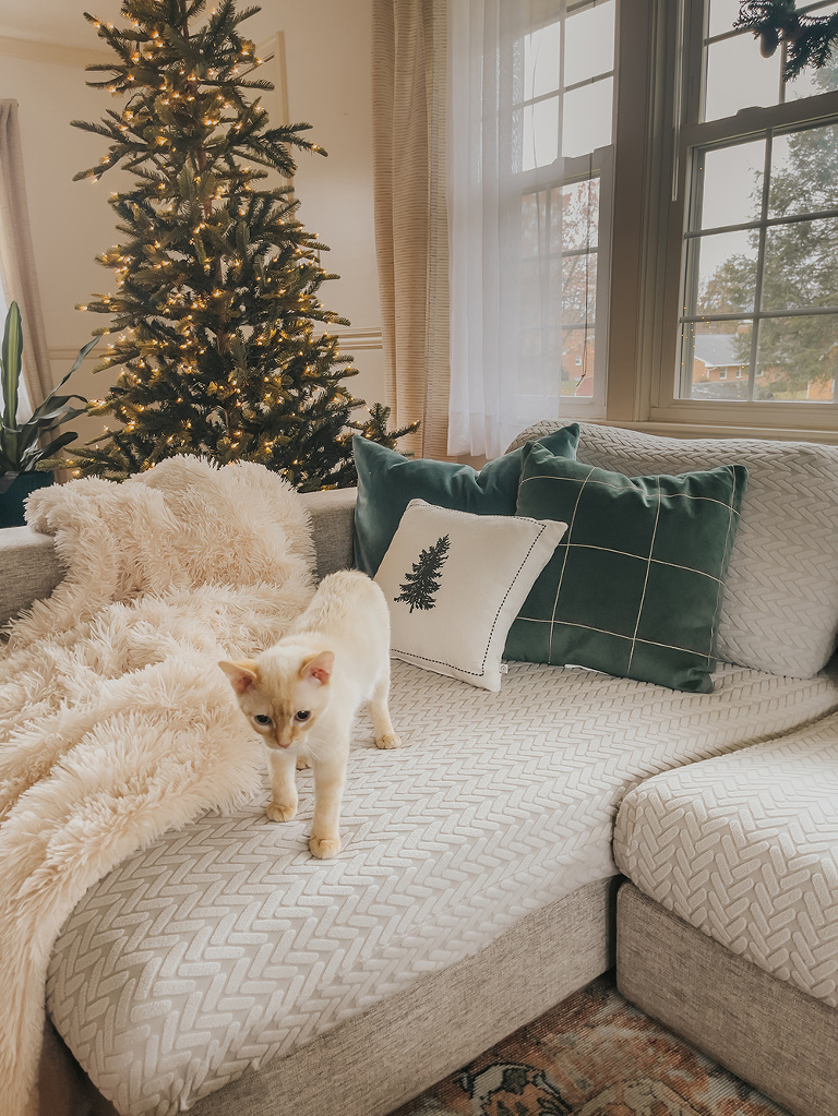 My Pet-Friendly Christmas Décor Tips - Dream Green DIY