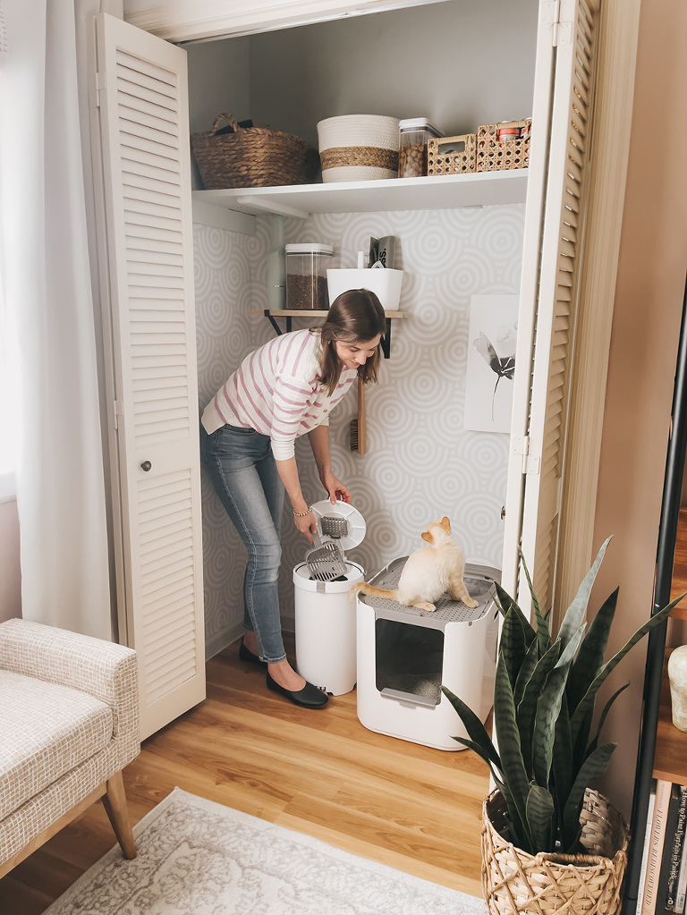 My Best Kitten Litter Training Tips - Dream Green DIY